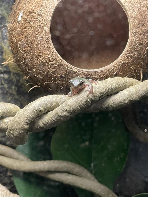 Shes All Grown Up 🥹 Rfrogs