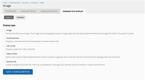 Core Fieldable File Entity Bundles · Issue 2632 · Backdropbackdrop
