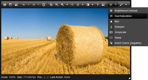 Telerik Ui For Aspnet Ajax