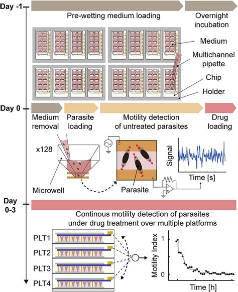 Operation Of The Automated Highly Parallelized Impedance Based Hpi Device Download
