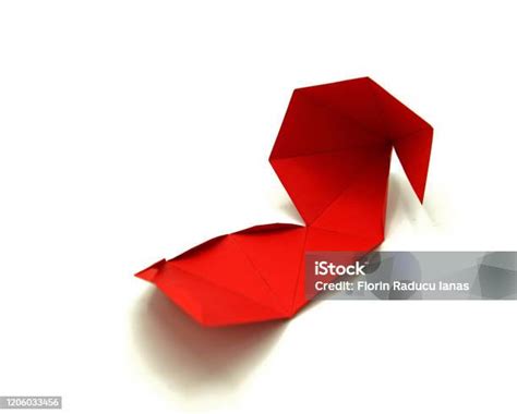 기하학적 모양은 종이에서 잘라 흰색 배경에 촬영 육각 형 디피라미드의 기하학적 그물 3차원 형상 또는 고체를 형성하기 위해 접을 수 있는 2차원 형상 3차원 형태에 대한