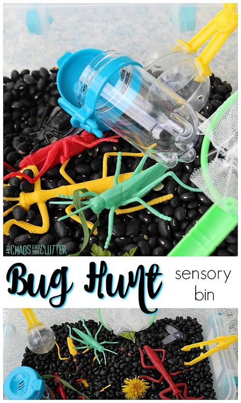 28 Insect Stem Activities Ideas Stem Activities Science Activities