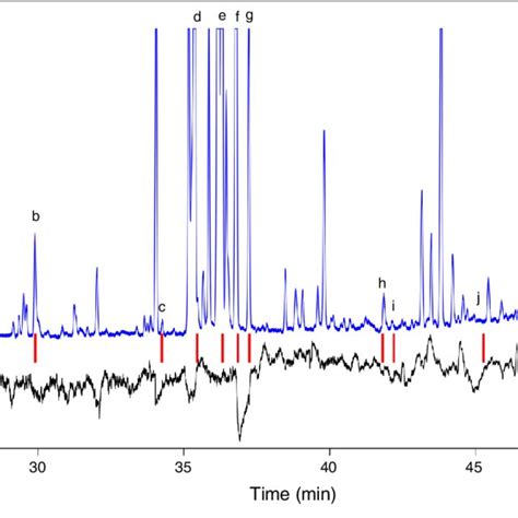 Fid Chromatographic Peaks Top Trace For E Globulus Leaf Volatiles Download Scientific