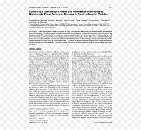 Combining Fluorescence Lifetime And Polarization Microscopy Text Page