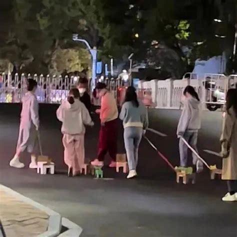 这届大学生为啥喜欢遛“纸箱小狗”？是怎么想的？ 知乎