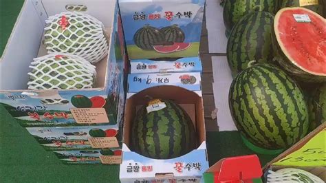 과일삼촌의 여름과일 시세 가이드 배 사과 감귤 블루베리 수박 참외 포도 키위 망고 특집 Youtube