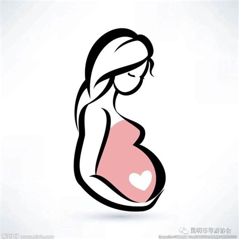 孕期哺乳期免培训办理进行出生证手册