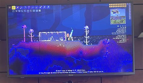 Truffle Wont Spawn In My Master World Ive Killed Every Boss… Any Suggestions R Terraria