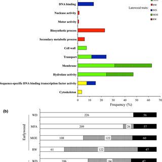 Functional Annotations And Gene Ontology GO Analysis Of Significant Download Scientific