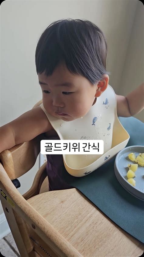 캔자스토비 Kansastoby 토비가 골드키위를 간식으로 먹다가 사운드 벽보의 키위를 눌러달라고 요청하고 있다 Toby Was Having Gold Kiwi