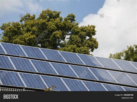 Solar Panels Tree Image Photo Free Trial Bigstock