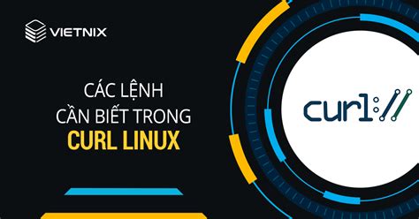 cURL là gì Cách sử dụng cURL cơ bản trong PHP