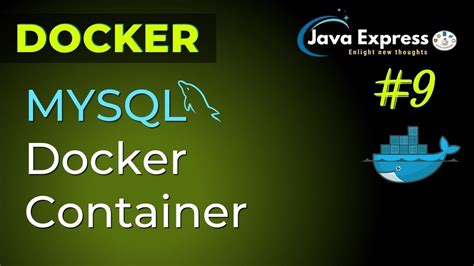9 How To Run Mysql Docker Container Docker Volume Javaexpress