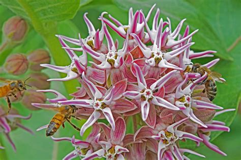 Senator Cathy Kipp Home Website For State Senator Cathy Kipp