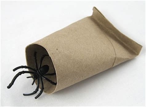 Bug Scoop For The Squeamish