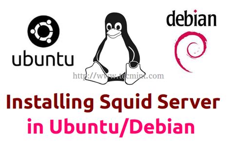 How To Install Squid Proxy In Debian Router
