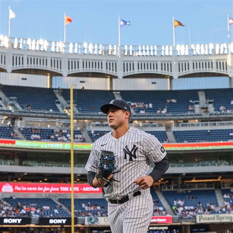 Anthony Rizzos Walk Off Win Sparks Yankees Fans Love For Baseball