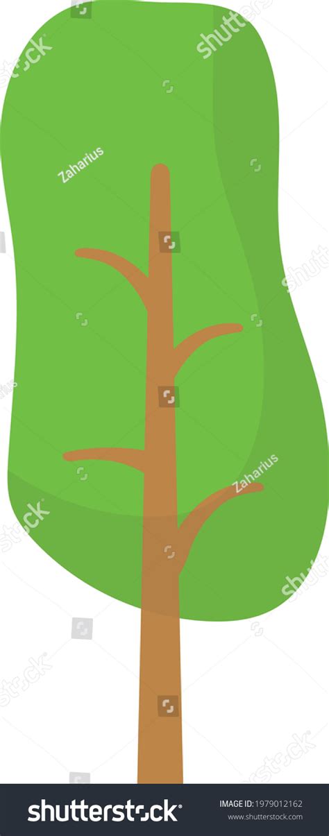 Deciduous Tree Drawing Green Trees Stock Vector Royalty Free Shutterstock