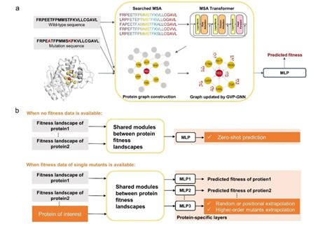 上海药物所郑明月 廖苍松组cell Syst 机器学习辅助定向进化新方法 Python社区