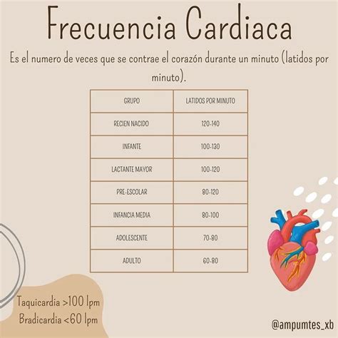 Frecuencia Cardíaca Valores Normales De Frecuencia Cardiaca Frecuencia Cardiaca Apuntes