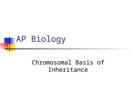 Ppt Ap Biology Chromosomal Basis Of Inheritance Mitosis And Meiosis