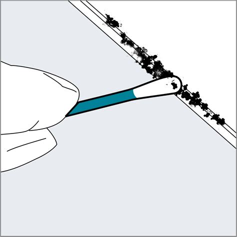 How To Sample For Mold ImmunoLytics Mold Testing Kit