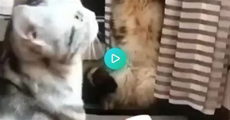 Your Mission Should You Choose To Accept It Album On Imgur