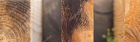 Wood Background Tree Rings Texture Stock Photo Image By V Sot