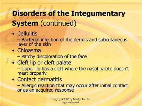 Ppt Chapter 9 Integumentary System Powerpoint Presentation Free