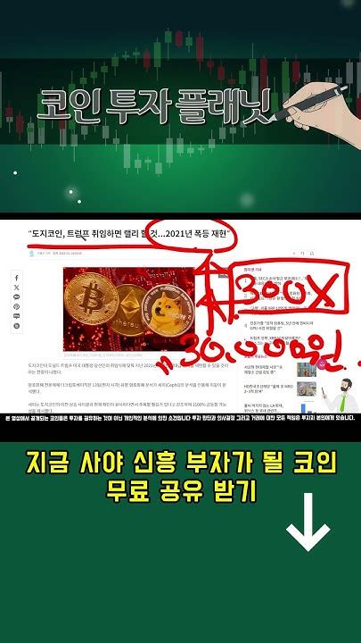 도지코인 전망 밈코인 추천 대장코인 도지 300배 상승 도지코인 도지코인대응 밈코인 비트코인 차트분석 일론머스크