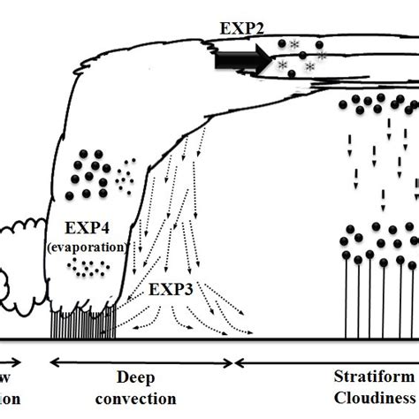 Schematic Diagram Of Typical Evolution Associated With Convectively Download Scientific Diagram