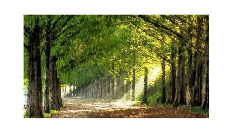 Coreldraw：让我们的图像设计充满艺术气息 Coreldraw中文网站