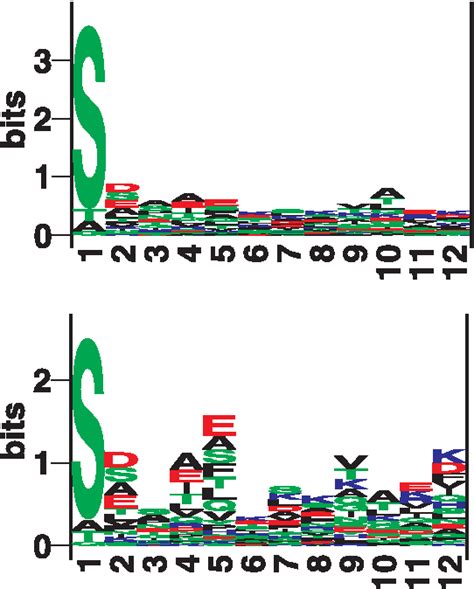 Figure 1 From Bioinformatics Applications Note Sequence Analysis Netacet Prediction Of N