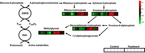 Pentose Phosphate Pathway Pretomanid Induces The Conversion Of