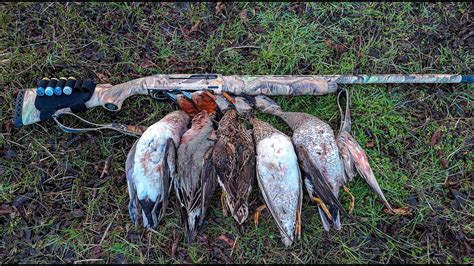 ნადირობის სეზონის დახურვა 2020 2021 🦆 კარგი გადაფრენა იყო იხვმა იმოძრავა საღამოს Duck Hunting