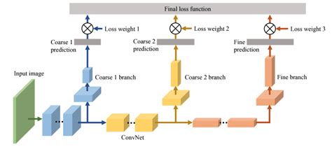 Correct Branch Cnn Implementation Pytorch Forums