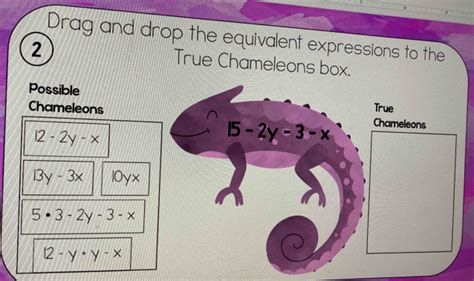 drag and drop the equivalent expressions to the 2 true chameleons box