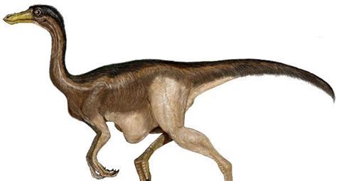 Gallimimus