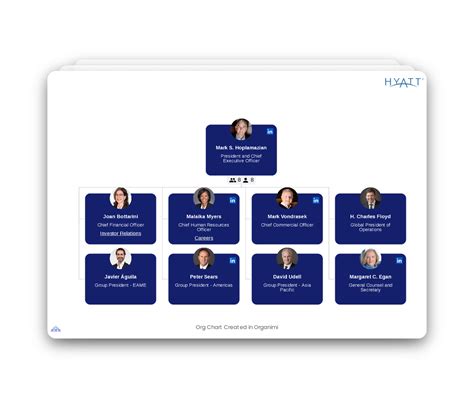 Hyatt Hotels Organizational Structure Interactive Chart Organimi