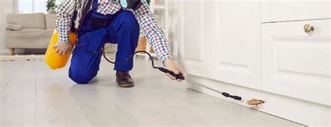 Pest Control Perth Get A Quote Today 0488 851 508