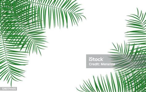열대 야자수 잎 배경 여름 열대 잎 이국적인 하와이 정글 트렌디 한 포스터 전단지 배너 카드 커버 브로셔여름 파티 디자인 3d 렌더링 배너 표지판에 대한 스톡 사진 및 기타