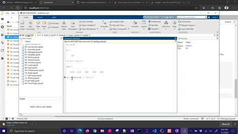 Debug Efficace In Matlaboctave Guida Completa Con Suggerimenti