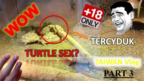 OMG SEX On Public Taiwan Vlog Part YouTube