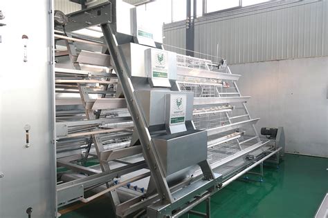 Commercial Automatic Chicken Feeder System For Chicken Farm