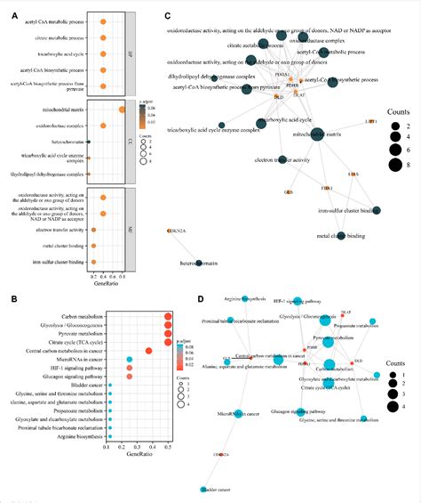 Figure 2 From Comprehensive Bioinformatics Analysis To Identify A Novel Cuproptosis Related