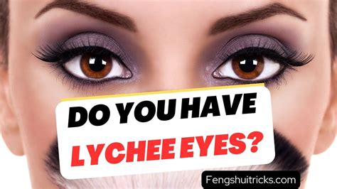 Lychee Eyes Shape 15 Face Reading For Male Female