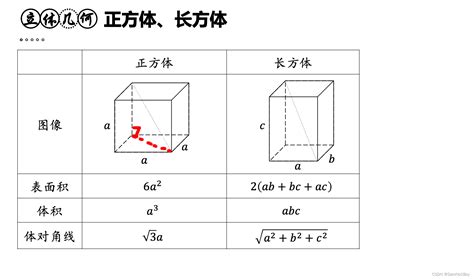 「2024」预备研究生mem 正方体与长方体and柱体 圆柱与棱柱samno1boy的博客 Csdn博客