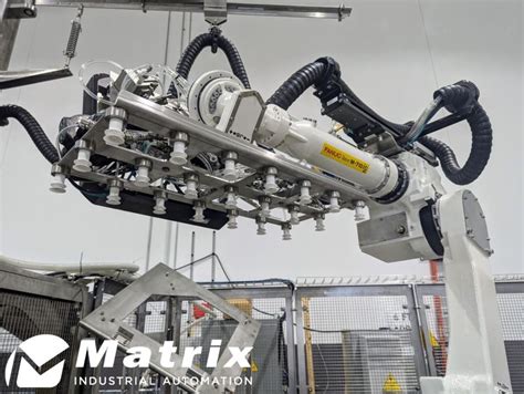 Robotics Automation Fanuc Engineering Foodhandling Engineering Eoat Igus Washdown