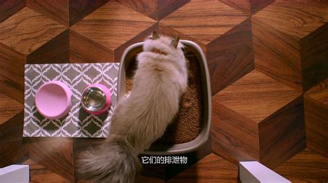 适合儿童看的英文动画电影有哪些
