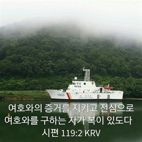 A Large Boat Floating On Top Of A Body Of Water Next To A Forest